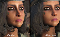 Alternate Female Face Textures - Fallout 4 Mods | GameWatcher