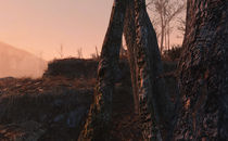 Vivid Fallout - Trees - Fallout 4 Mods | GameWatcher