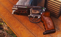 The M2019 PKD Detective Special - That Gun - Fallout 4 | GameWatcher