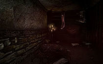 Horror Cellar 1.2 - Amnesia: The Dark Descent Mods | GameWatcher