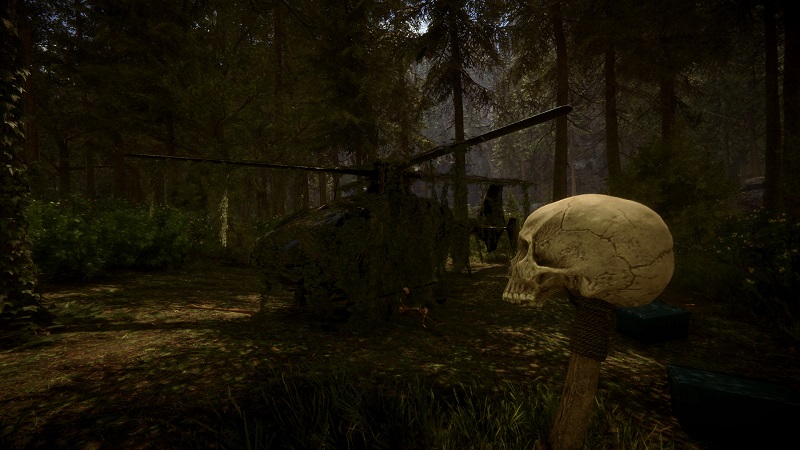 Sons of the Forest Max Players | GameWatcher