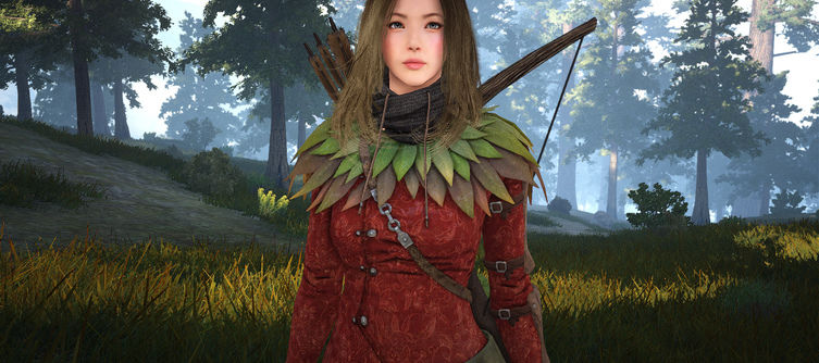 Gorgeous Korean MMORPG Black Desert entering open Beta | GameWatcher