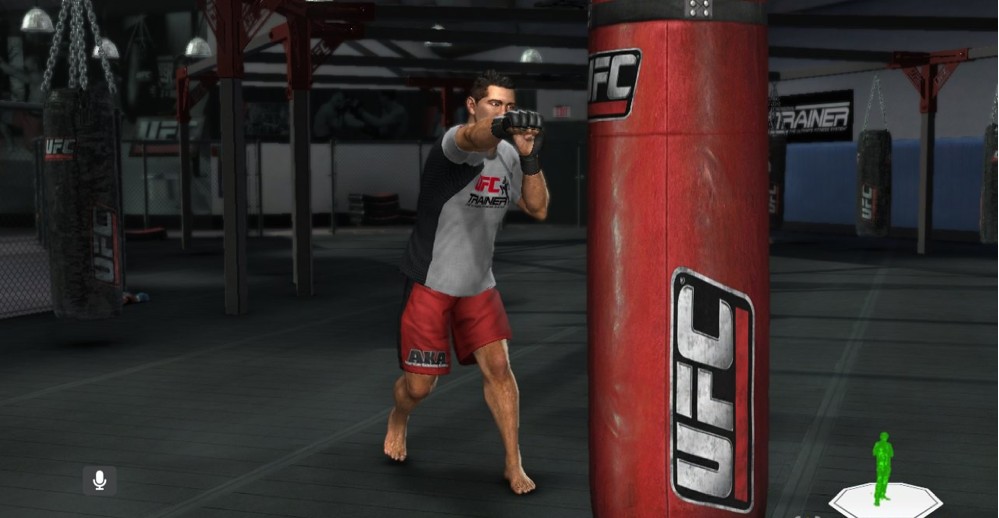 First DLC now available for free for UFC Personal | GameWatcher