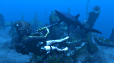 Eidos: Tomb Raider Underworld DLC Xbox 360 only, adds 6 | GameWatcher