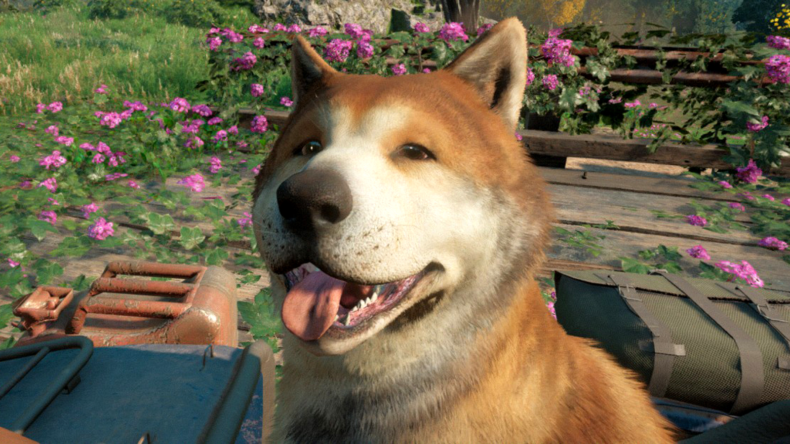 Far Cry New Dawn Timber - How to Get the Dog Ally? | GameWatcher