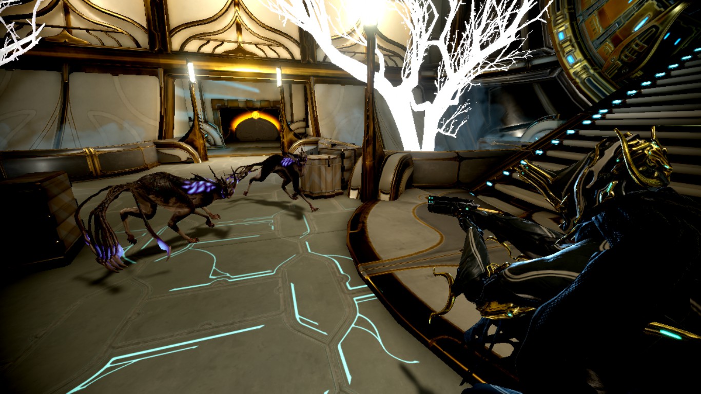 Warframe: How to Breed a Kavat | GameWatcher