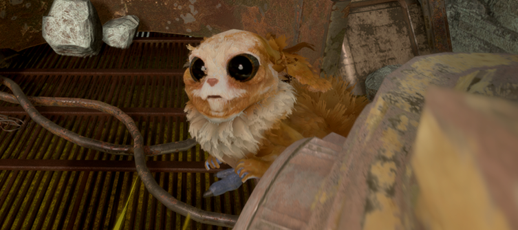 Star Wars Jedi Fallen Order Pet - How to get a Bogling | GameWatcher