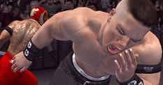 E3 2010: THQ outs 3 WWE titles | GameWatcher