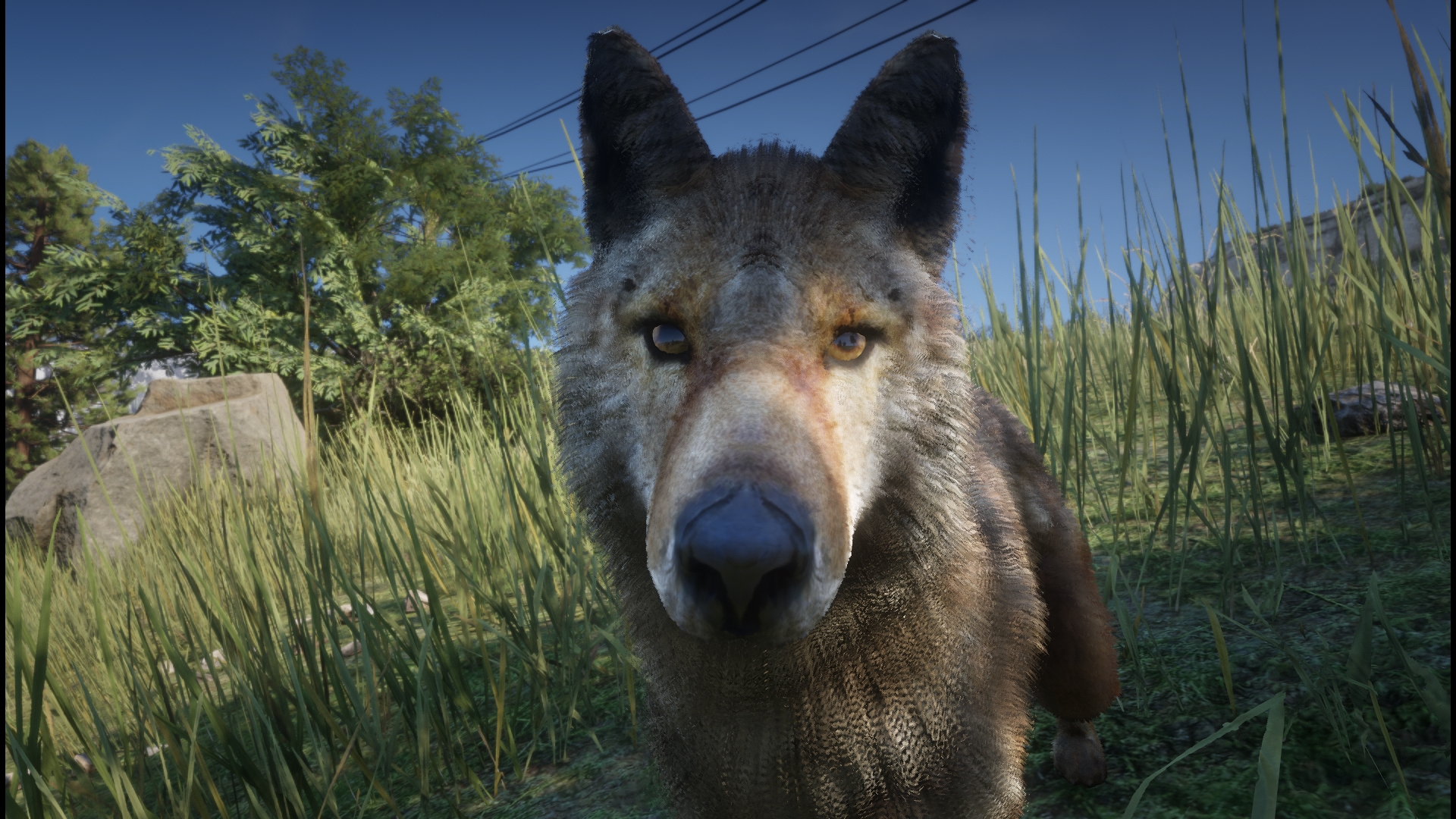 Red Dead Redemption 2 - How to play as animals or other | GameWatcher