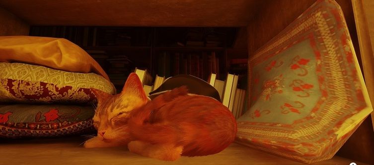 Stray Steam Deck Support | GameWatcher