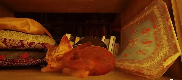 Stray Steam Deck Support | GameWatcher